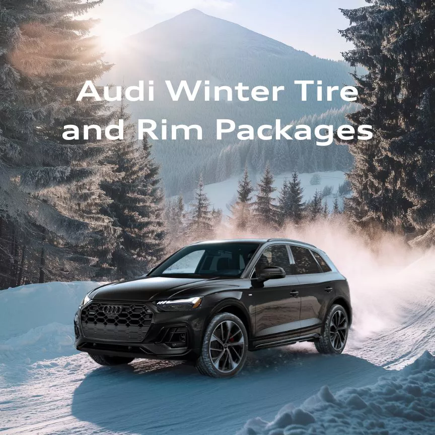 Audi Winter Tire and Rim Packages