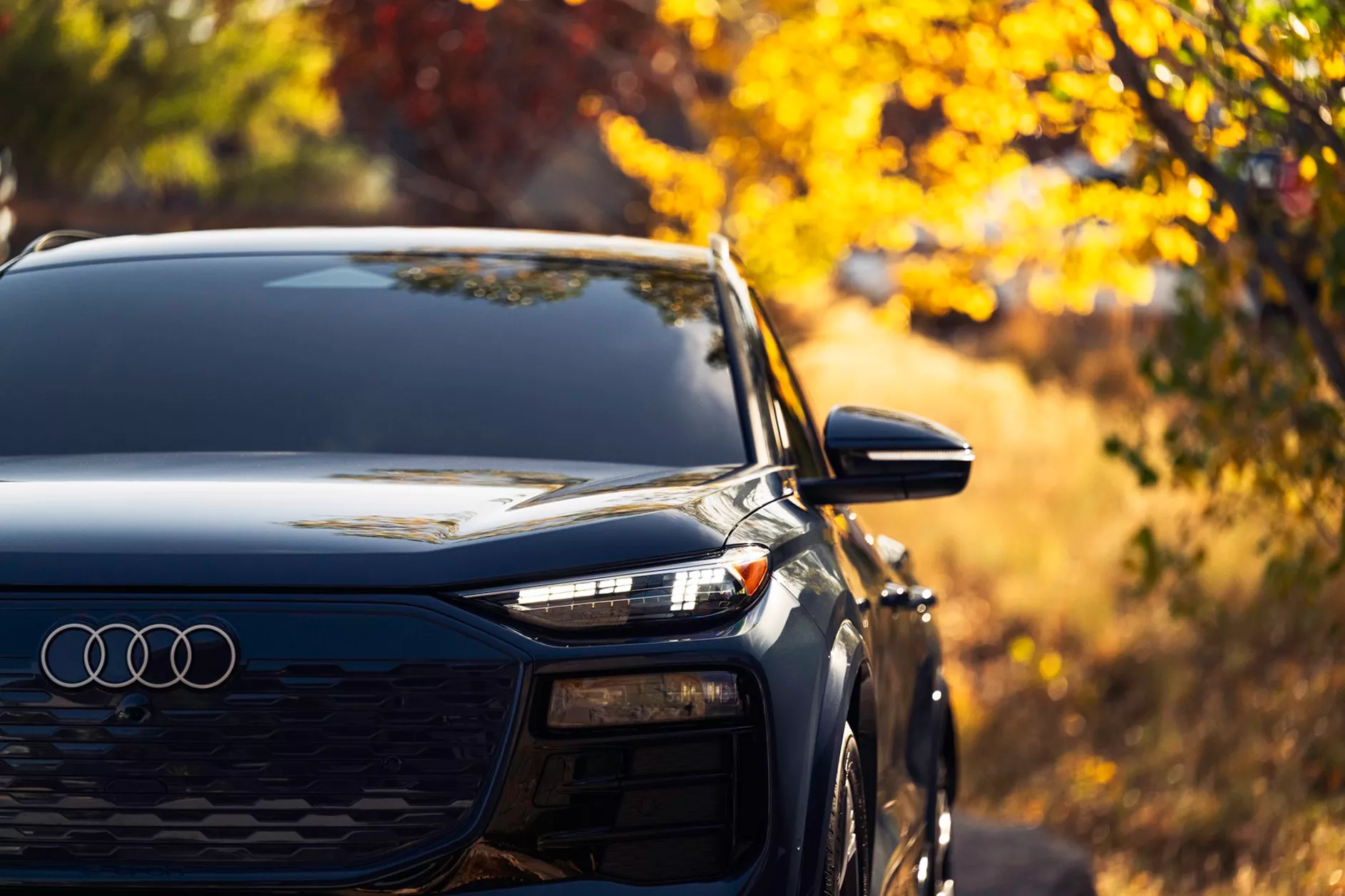 Audi Dealer near Me | Audi of Wilmington